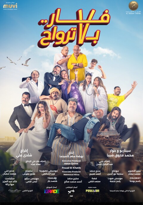 Galaxy Cinemas - Tanta