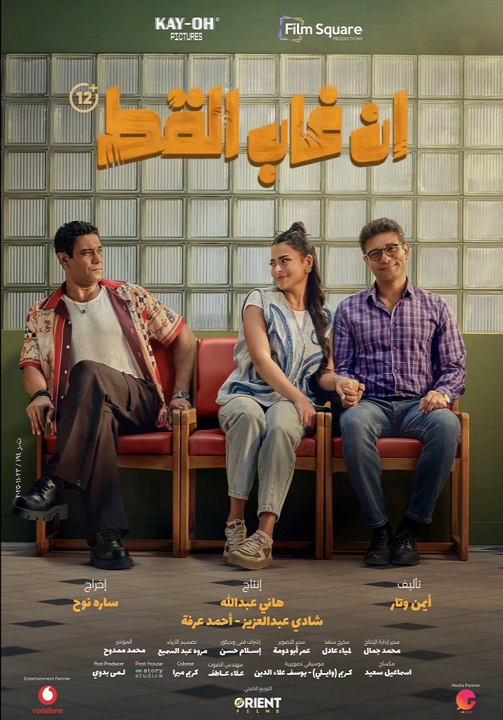 Galaxy Cinemas - Tanta